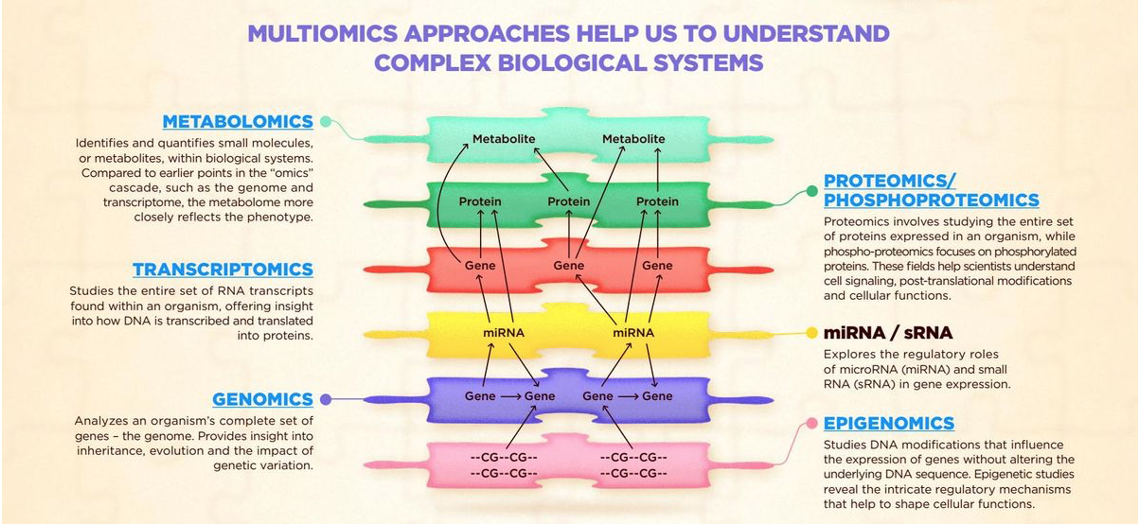 Cuộc cách mạng Omics: multi-omics và tương lai của nghiên cứu y sinh